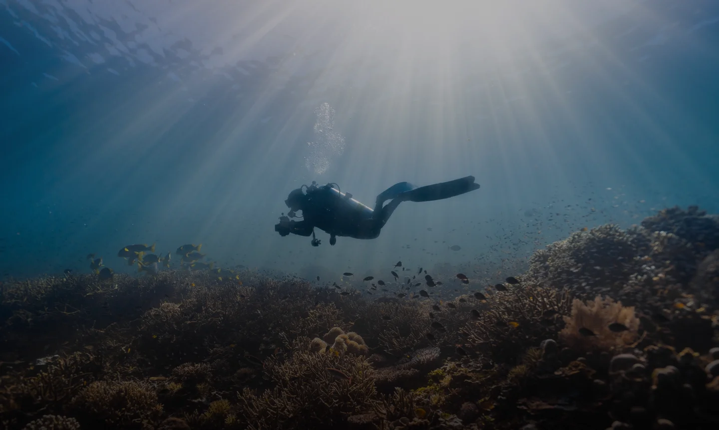 LiveAboards.com - Book Your Unforgettable Liveaboard Diving